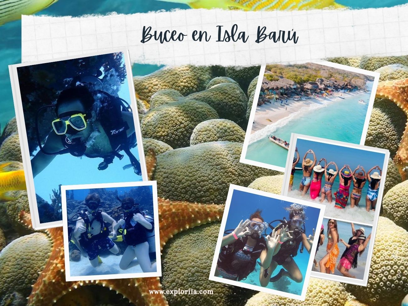 Buceo en Isla Barú y Playa Blanca | Con Fotos | Exploria®